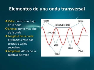 MOVIMIENTO ONDULATORIO (1).pptx