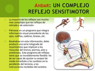 Movimiento | PPTX