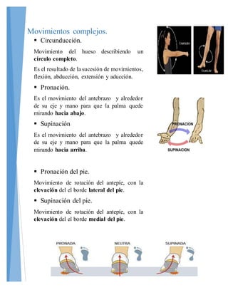 Movimientos anatomicos | DOCX