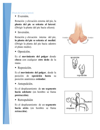 Movimientos anatomicos | DOCX