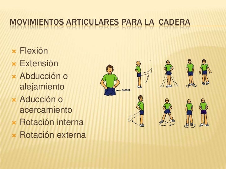 Movimientos articulares
