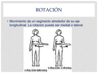 Movimientos articulares | PPTX