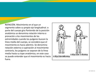 Movimientos corporales | PPTX | Physical Therapy | Wellness