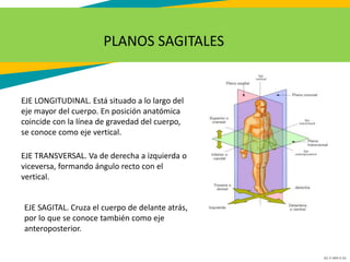 Movimientos corporales | PPTX