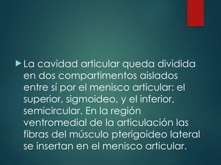 Movimientos de la mandibula en apertura y cierre | PPTX