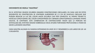 INTESTINO DELGADO ...................... | PPTX