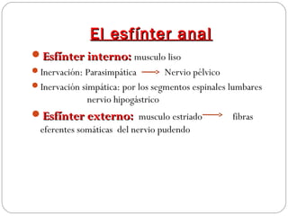 Movimientos del tubo digestivo | PPT