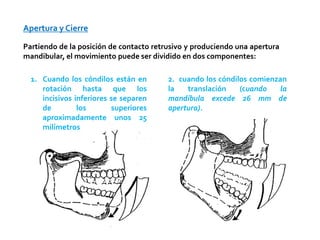 Movimientos mandibulares | PPTX