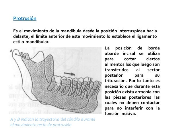 Mandibula Protraida