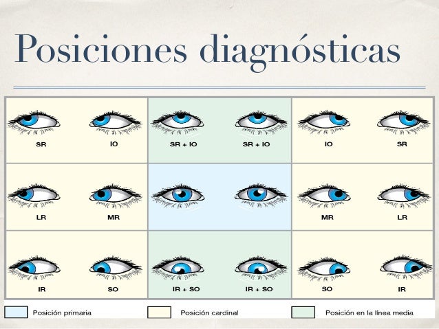 Movimientos oculares