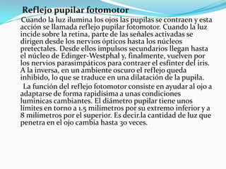 Movimientos Oculares Y Su Control | PPTX