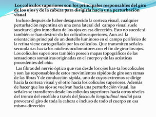 Movimientos Oculares Y Su Control | PPTX