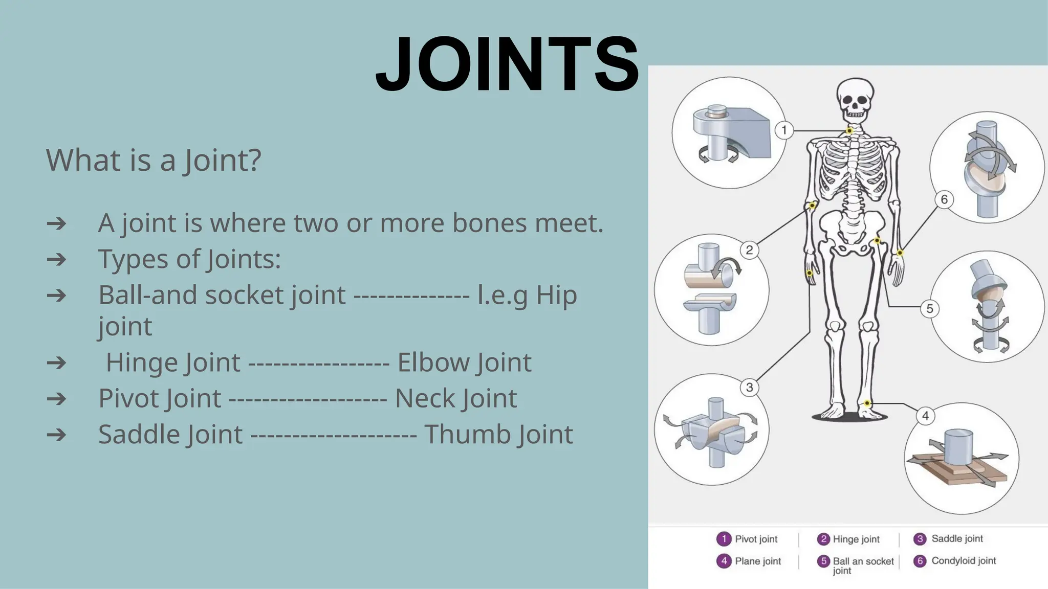 movingandgrowinggrade4-210120122547.pptx