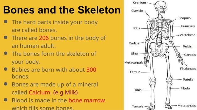 movingandgrowinggrade4-210120122547.pptx