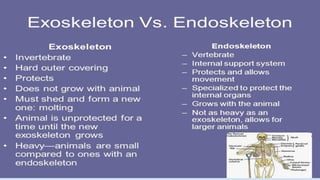 Moving and growing (grade 4) ( Science ) | PDF