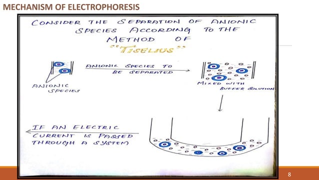 Moving boundary electrophoresis mpat | PPT