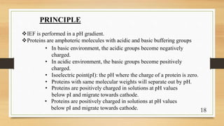 Moving Boundary & Isoelctric focusing(JEEV).pptx
