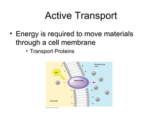Moving Cellular Materials | PPT