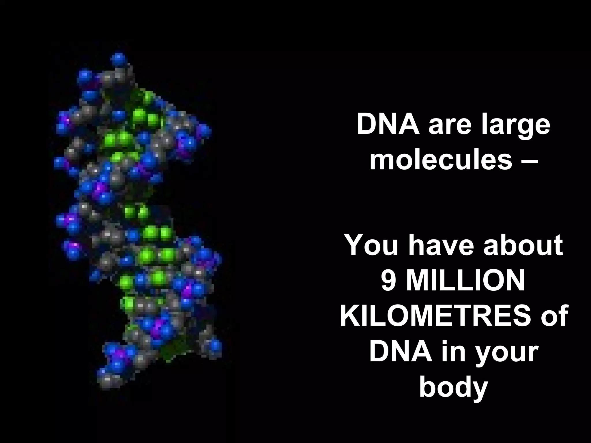 Moving dna | PPT