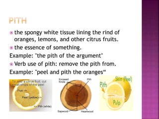 Learn English with me (starter) | PPTX