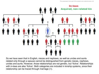 Mov_kinship_crashcourse | PPT | Genealogy and Ancestry | Hobbies ...