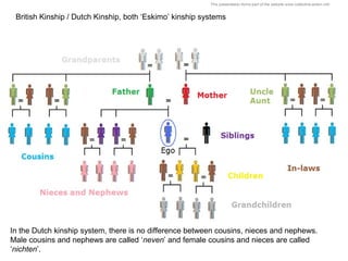 Mov_kinship_crashcourse | PPT