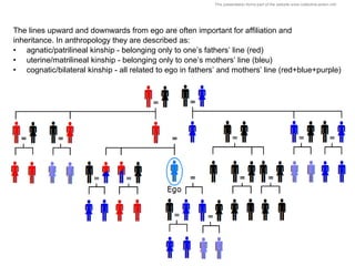 Mov_kinship_crashcourse | PPT | Genealogy and Ancestry | Hobbies ...