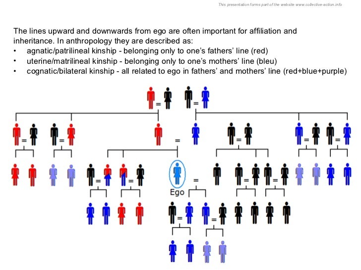 Mov_kinship_crashcourse
