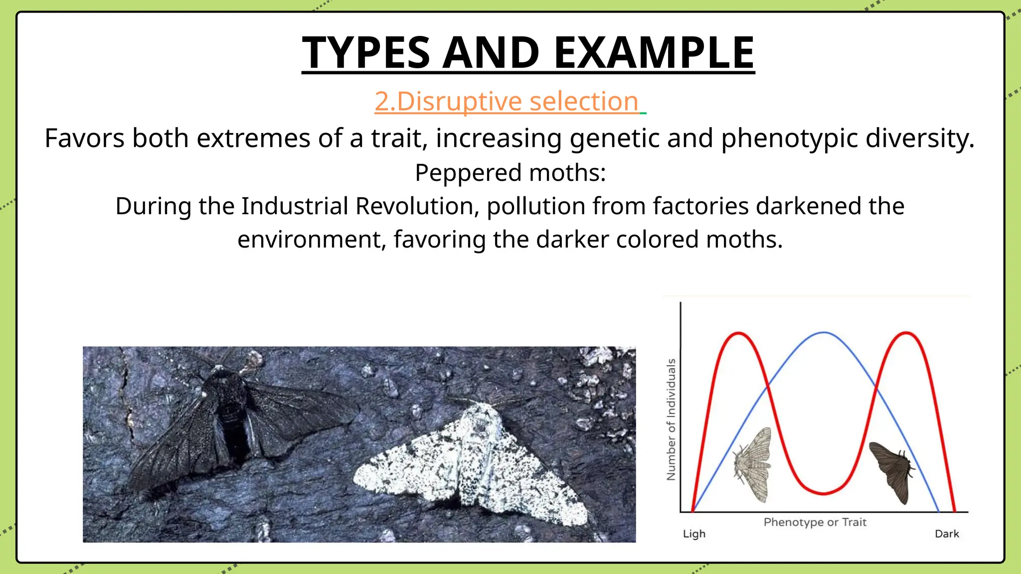 MUTATION AND GENETIC DRIFT &NATURAL SELECTION | PPT
