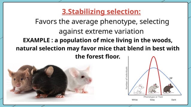MUTATION AND GENETIC DRIFT &NATURAL SELECTION | PPT