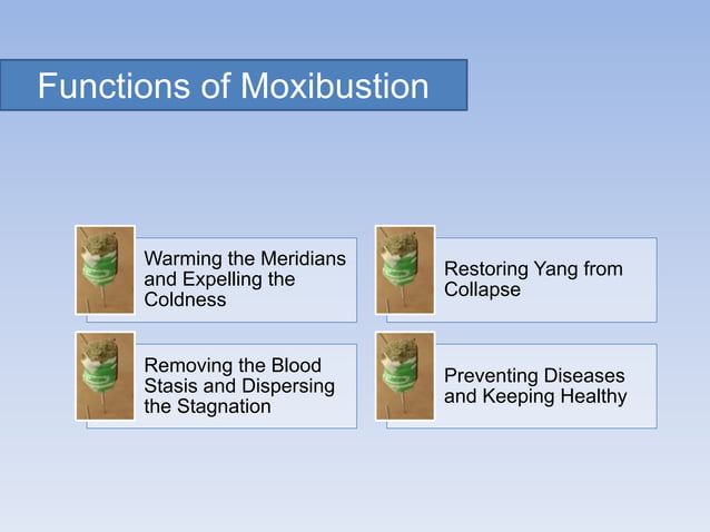 Moxibustion Therapy | PPT