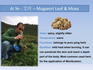 Moxibustion Therapy | PPTX