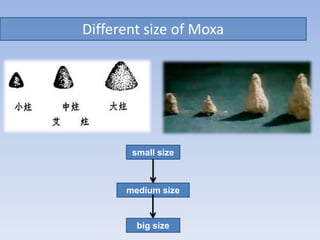 Moxibustion Therapy | PPTX