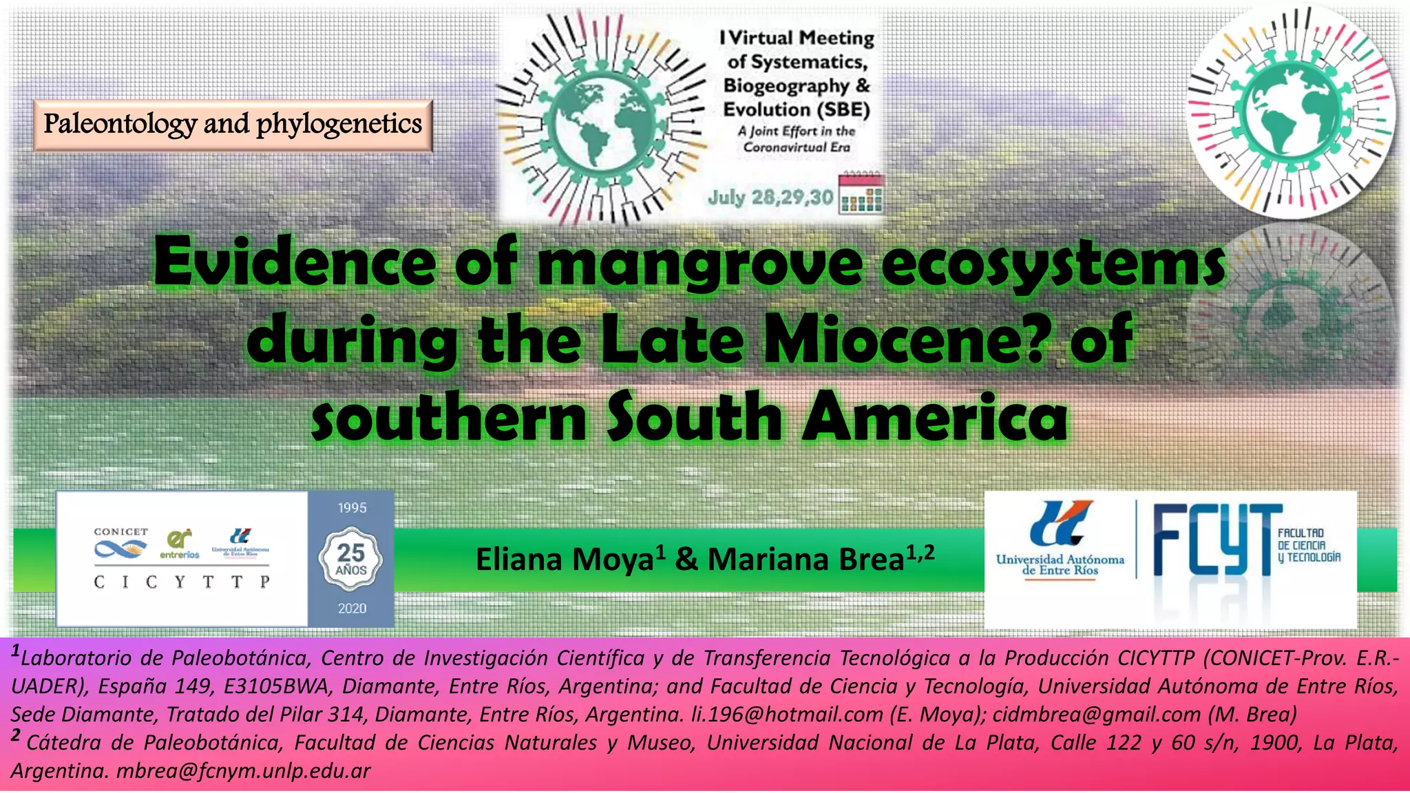 Evidence of mangrove ecosystems during the Late Miocene? of southern ...