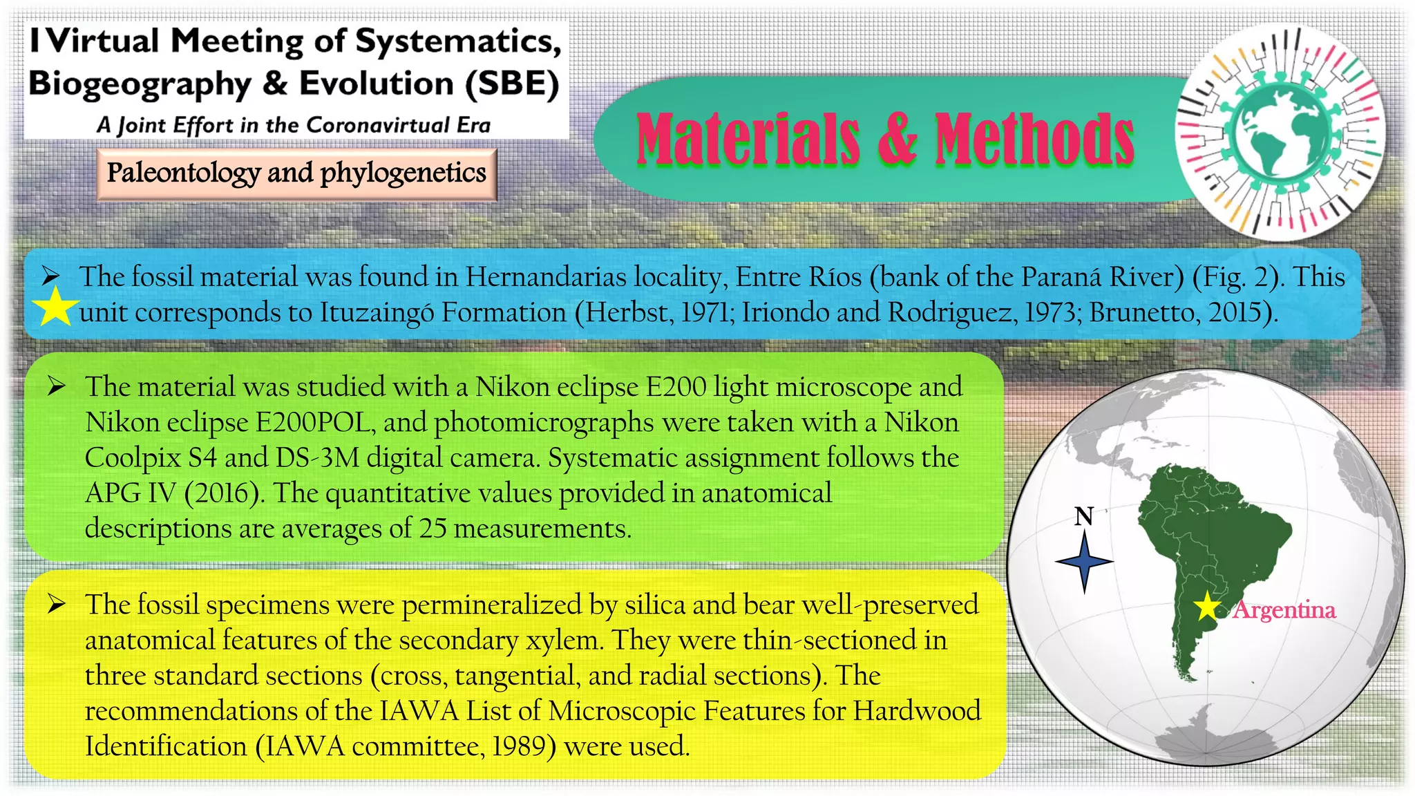 Evidence of mangrove ecosystems during the Late Miocene? of southern ...