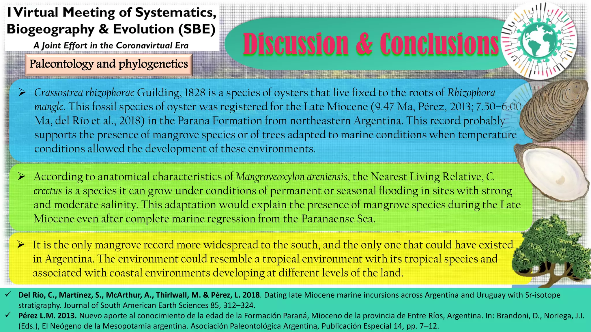 Evidence of mangrove ecosystems during the Late Miocene? of southern ...