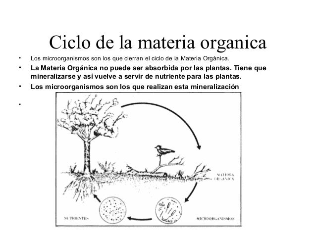 Materia Orgánica Y Vida Del Suelo