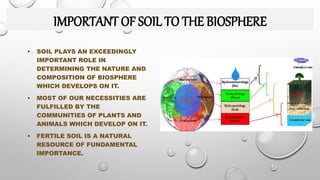 Presentation On - Soil Pollution, Soil Solidification, Soil ...