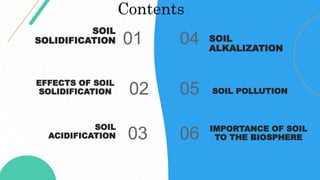 Presentation On - Soil Pollution, Soil Solidification, Soil Acidification, Soil Alkalization | PPTX