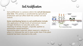 Presentation On - Soil Pollution, Soil Solidification, Soil Acidification, Soil Alkalization | PPTX