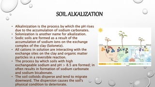 Presentation On - Soil Pollution, Soil Solidification, Soil ...