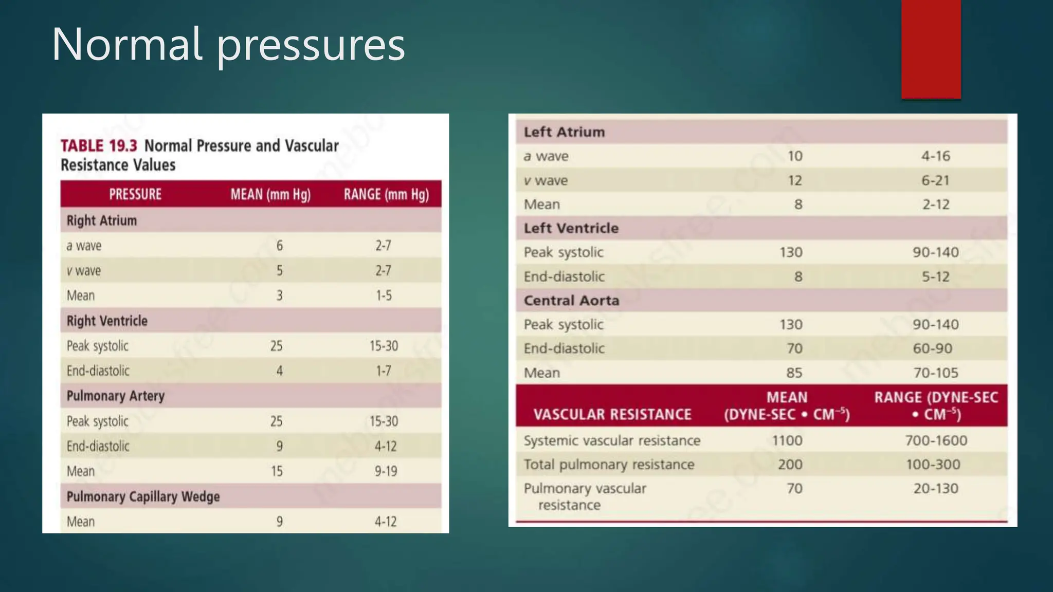 MO!Z Cardiac cycle. Cardiology, Spandana collection pptx | PPTX