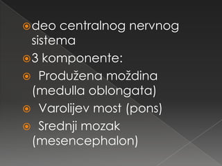 Mozdano stablo | PPT