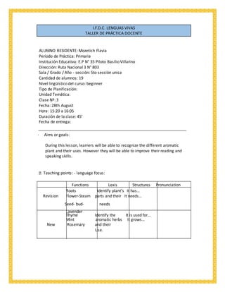 lesson plan 3 primaria | DOCX