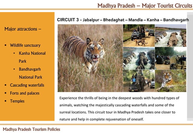 Mp Tourism Policy | PDF