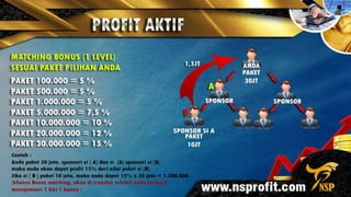 Marketing Plan NSProfit | PPTX | Marketing and Advertising | Business