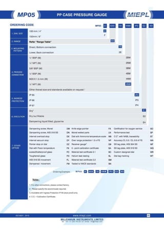 MP05 PP Case Pressure Gauge - Bourdon Tube, Dn100 & Dn150 | Miepl | PPTX