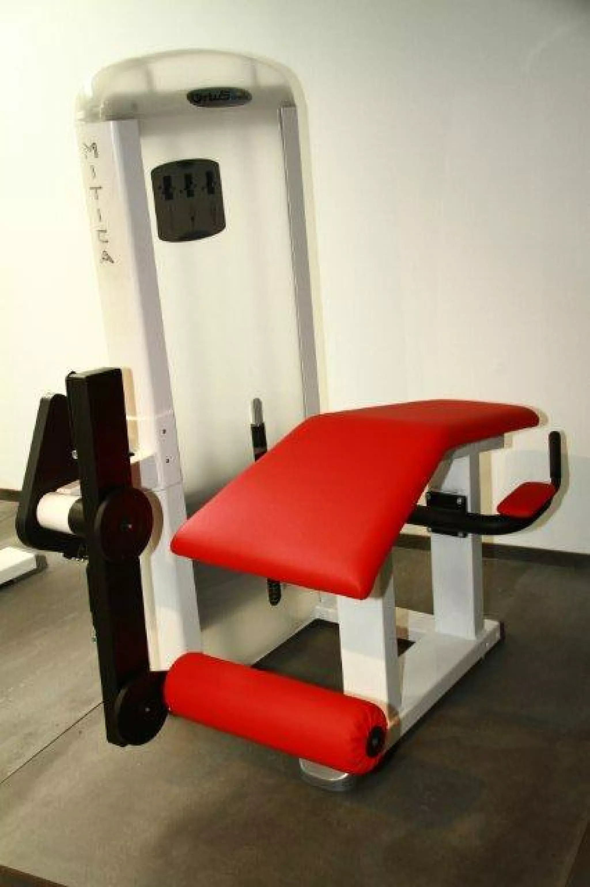 Mp08 femoral tumbado | PDF