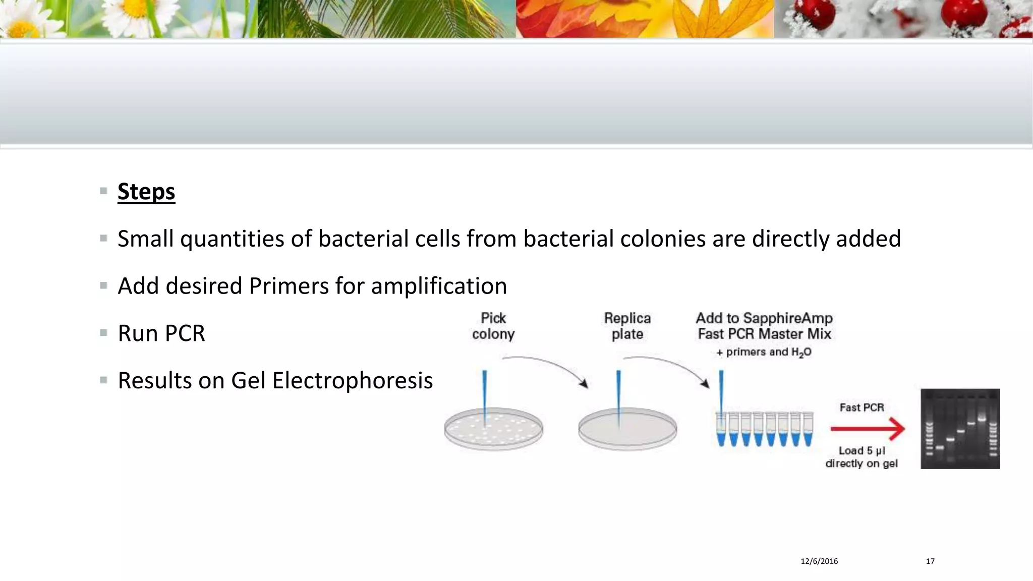 PCR Types | PPTX
