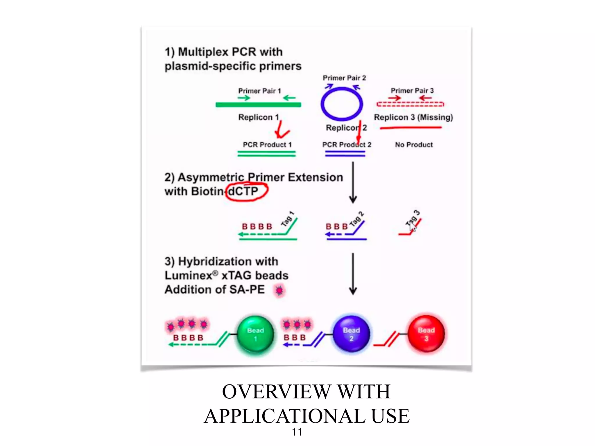 Multiplex PCR and its Applications | PDF